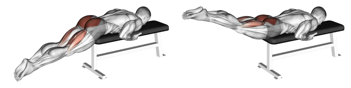 Reverse Hyperextension: Guide, Muscles Worked, Tips | Athlemove