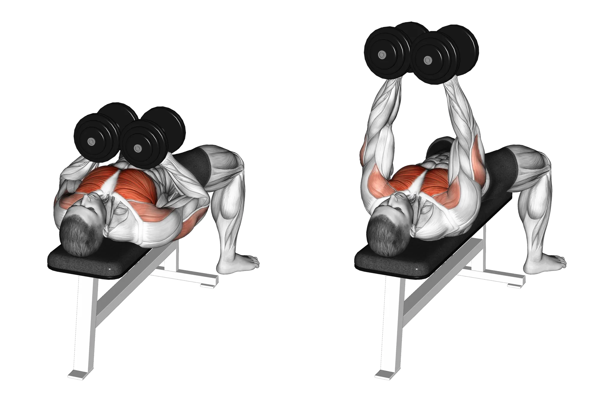 Dumbbell Squeeze Press: Guide, Muscles Worked, Tips | Athlemove