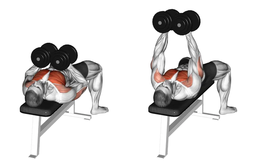 Dumbbell Squeeze Press: Guide, Muscles Worked, Tips | Athlemove