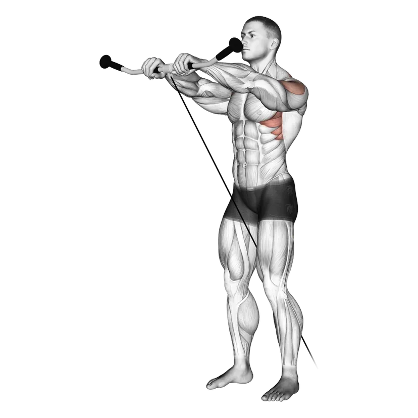 Dumbbell Front Raise: Guide, Muscles Worked, Tips | Athlemove