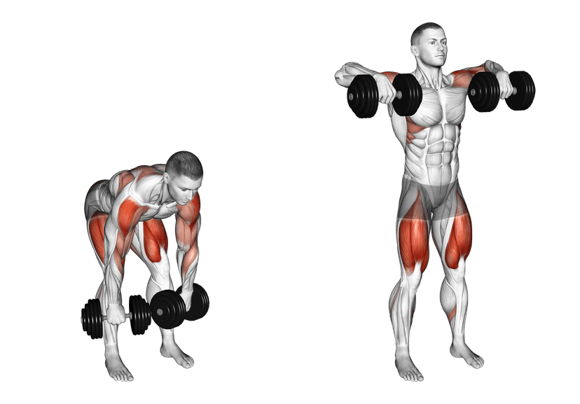 Dumbbell High Pull: Guide, Muscles Worked, Tips | Athlemove