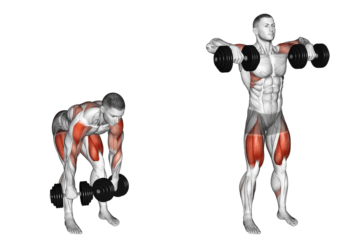 Dumbbell High Pull: Guide, Muscles Worked, Tips | Athlemove