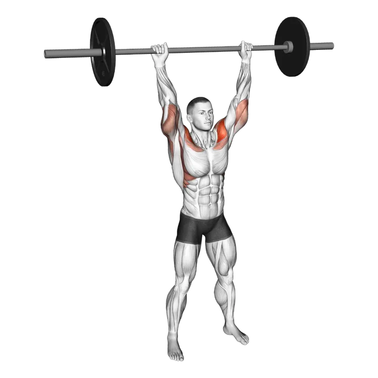The Big Five: 5 Best Compound Movement Exercises for Maximum Gains ...