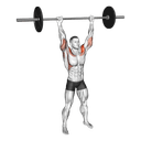 Dumbbell Shoulder Press: Guide, Muscles Worked, Tips | Athlemove