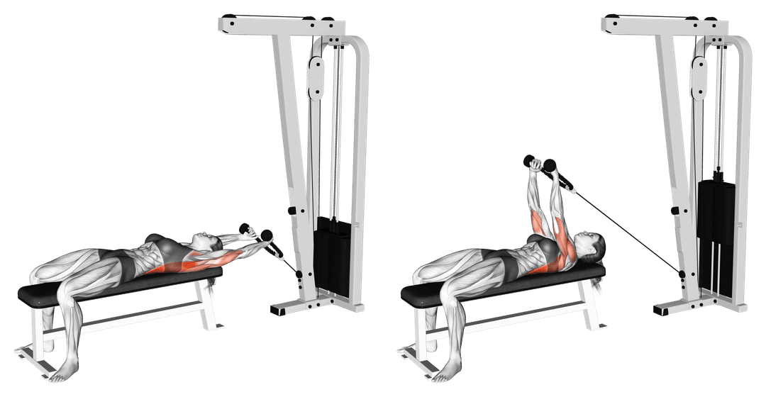 Cable Pullover: Guide, Muscles Worked, Tips | Athlemove