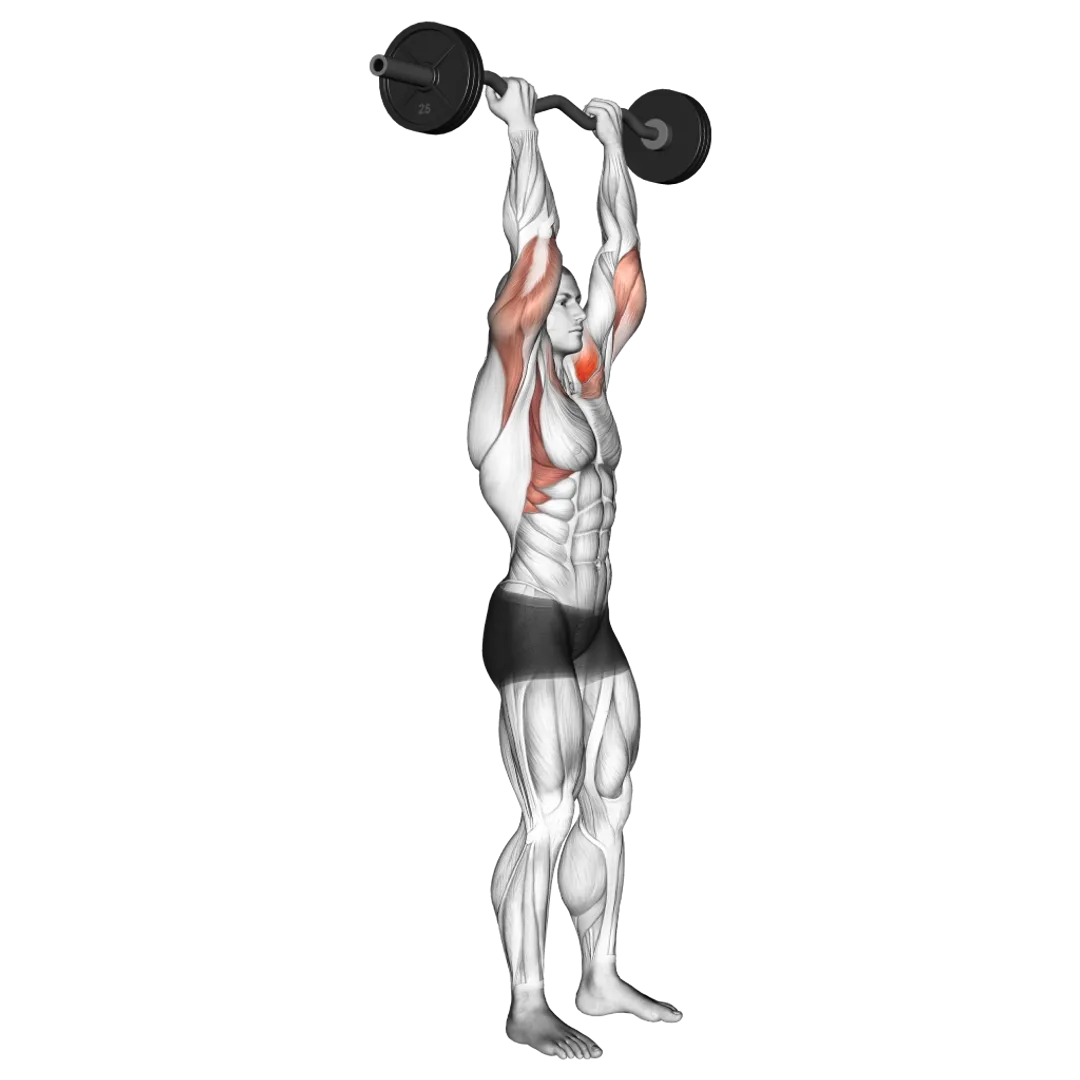 Barbell Standing Military Press: Guide, Muscles Worked, Tips | Athlemove