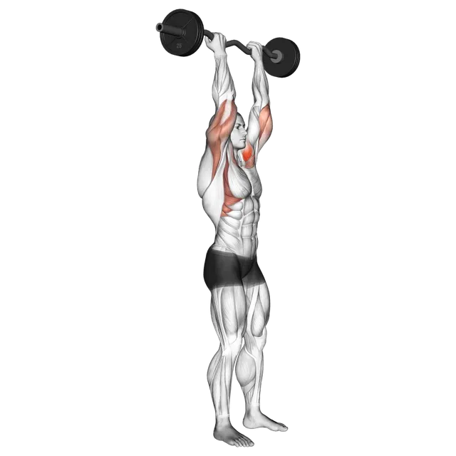 Barbell Standing Military Press: Guide, Muscles Worked, Tips | Athlemove
