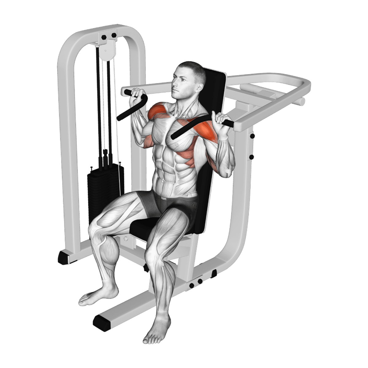Smith Machine Shoulder Press Guide Muscles Worked Tips Athlemove